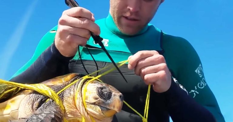 Good Samaritan Gives Shoes to Man Crawling on Scorching Street | FaithPot