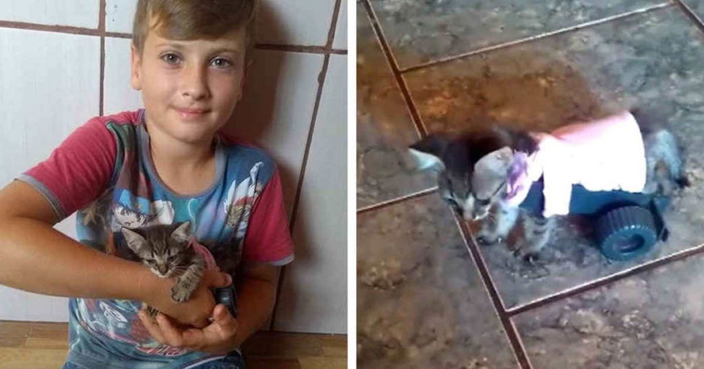 9-Year-Old Boy Builds Wheelchair For Kitten Who Can't Walk | FaithPot