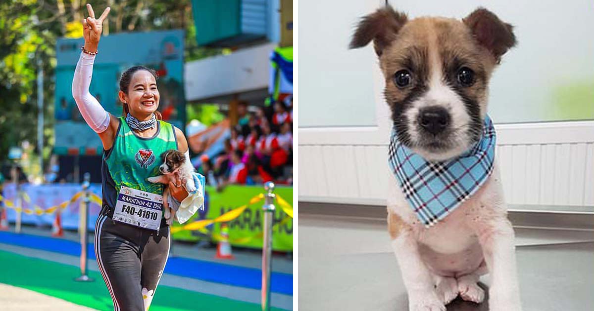Marathon Runner Completes 19 Mile Race Carrying Pup After Finding It ...