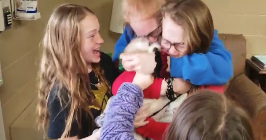 Emotional Moment When Police Reunites Family With Dog Missing 8 Months ... Emotional Moment When Police Reunites Family With Dog Missing 8 Months ...