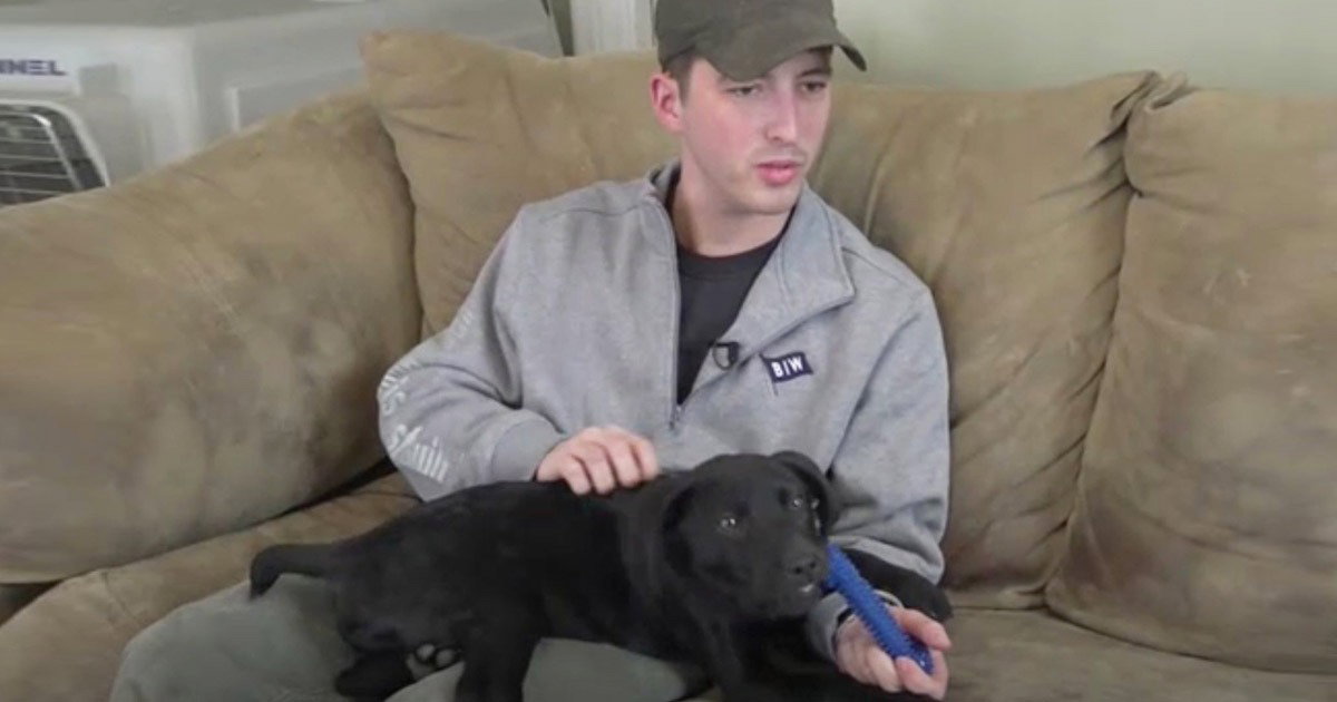 Deaf Owner Adopts Deaf Dog And Teaches Him Sign Language Commands ...