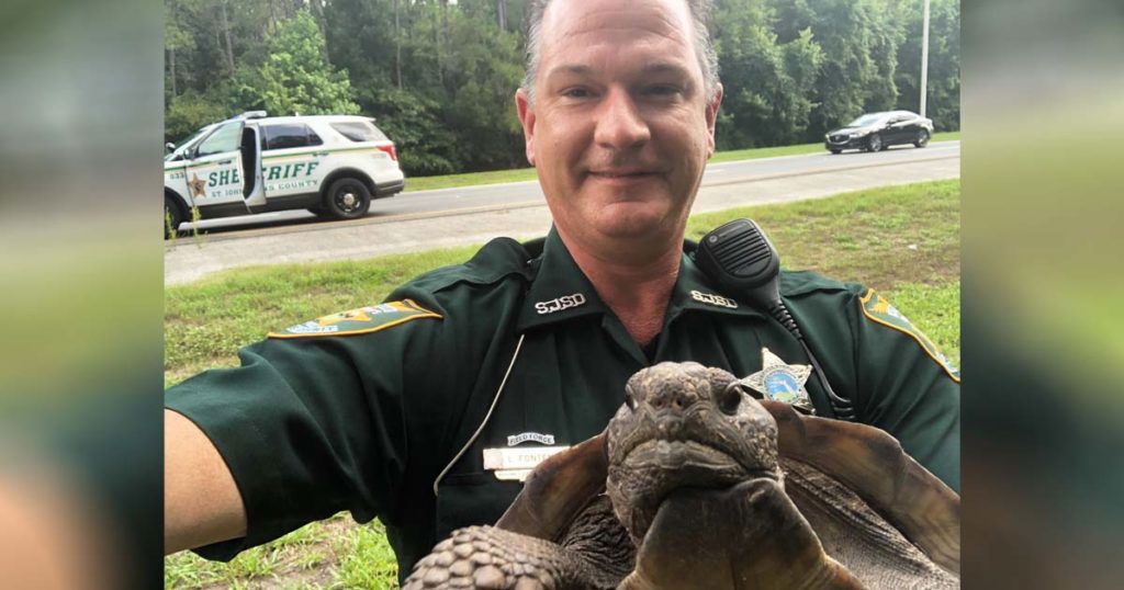 Tortoise Poses For A Selfie With Officer After It Was Detained For ...