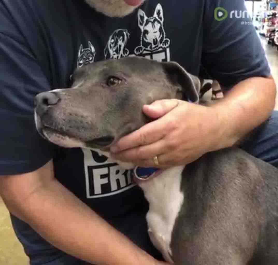 Dog Expresses Its Love To Beloved Owner In The Cutest Way