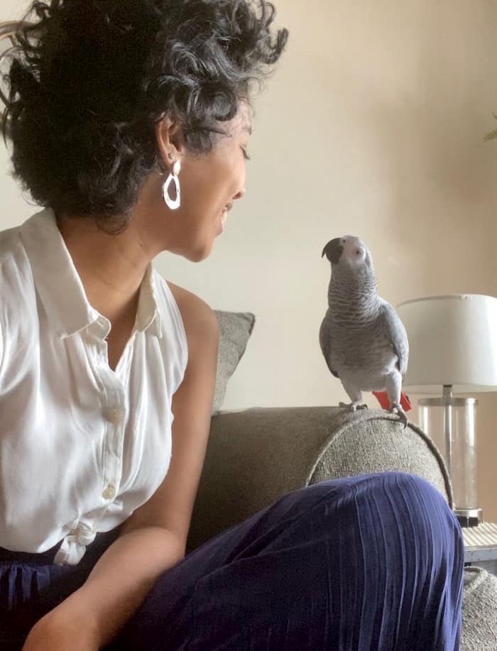 New York Woman Is Reunited With Beloved Missing Parrot After Losing Her ...