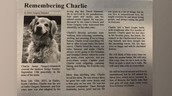 Woman Writes Touching Obituary For Her Beloved Dog And It Melts Hearts ...
