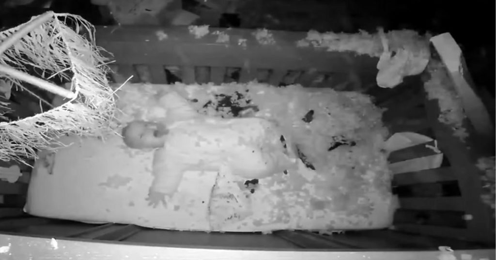 Sleeping Baby Narrowly Escapes From A Falling Tree In Heart-Stopping ...