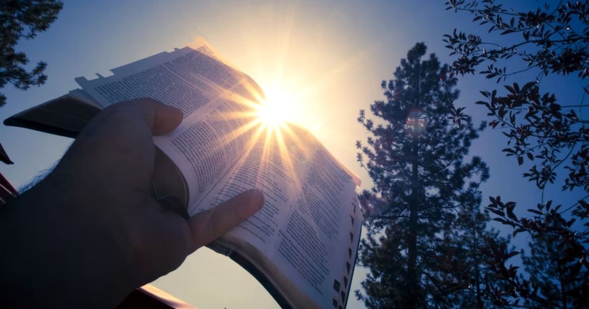 15 Bible Verses That Tell Us More About The Kingdom Of God | FaithPot