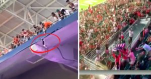 Miami Fans Save Falling Cat With American Flag At Football Stadium