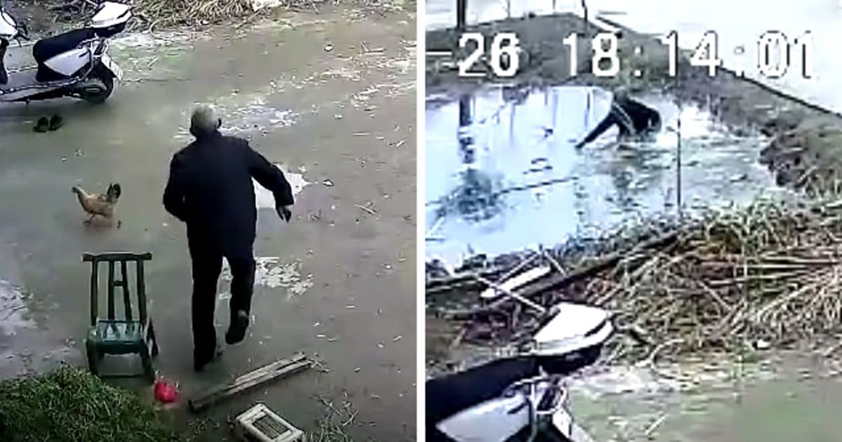 73-Year-Old Grandpa With Weak Legs Jumps Into Freezing Cold Water To ...