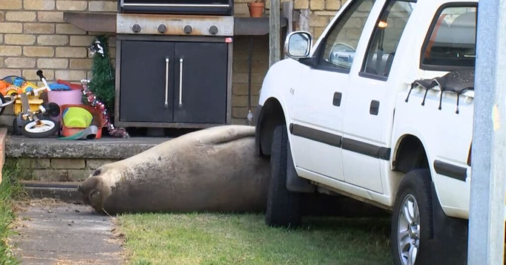 Woman's Unusual Work Excuse Leaves Bosses In Stitches | FaithPot