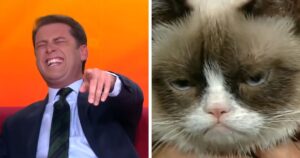 Reporter Can't Stop Laughing at Grumpy Cat During Interview